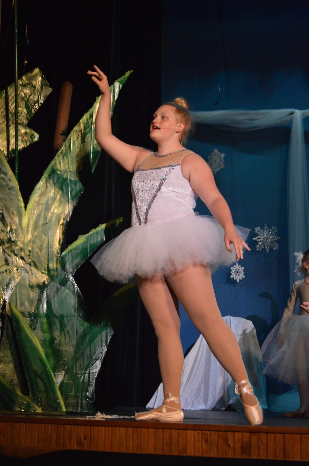 Gallery - Huber Opera House